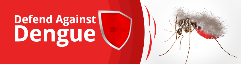 Dengue Prevention Logo